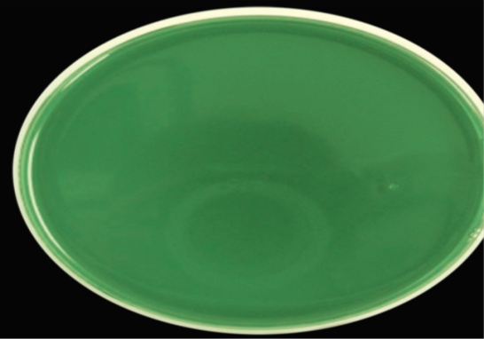 Media section 2 | NAMO Medical Education & Research Institute